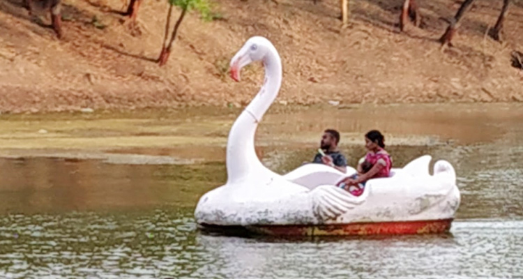 Althan National Park Surat (Entry Fee, Timings, Safari, Best time to ...