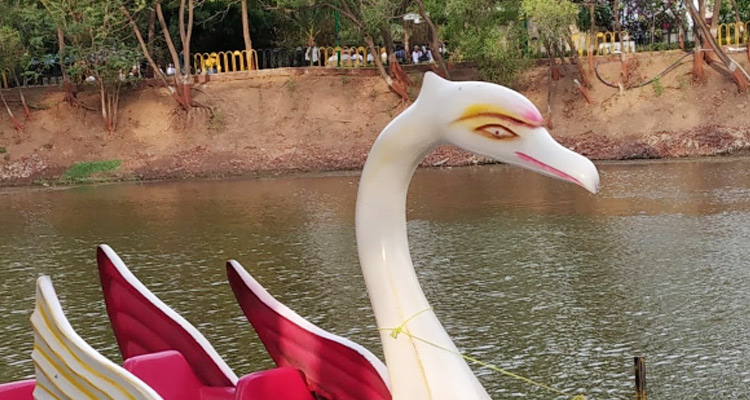 Althan National Park Surat (Entry Fee, Timings, Safari, Best time to ...