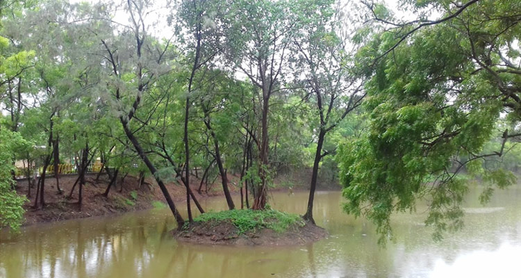 Althan National Park Surat (Entry Fee, Timings, Safari, Best time to ...