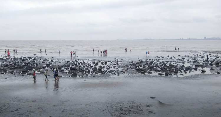 Dumas Beach Surat (Location, Activities, Night Life, Images, Facts ...