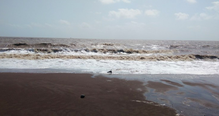 Hazira Beach Surat (Location, Activities, Night Life, Images, Facts ...