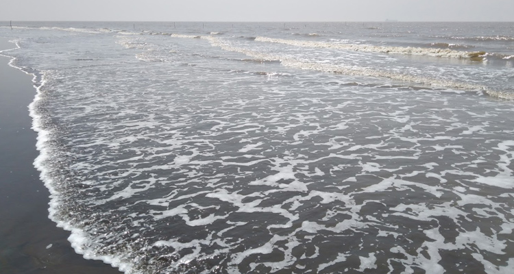 Hazira Beach Surat (Location, Activities, Night Life, Images, Facts ...