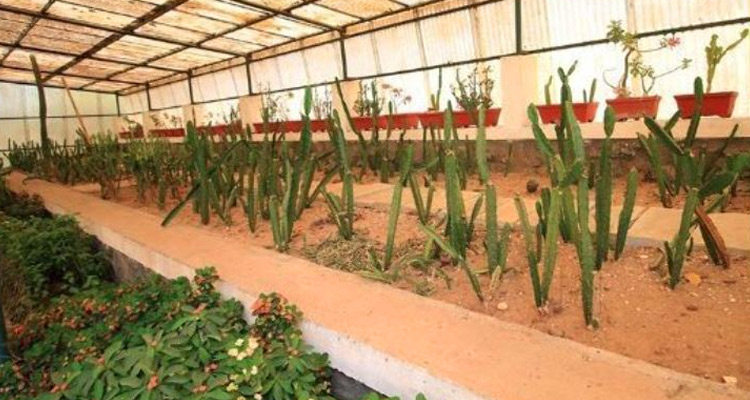 Sneh Rashmi Botanical Garden Surat (Entry Fee, Timings, Images ...