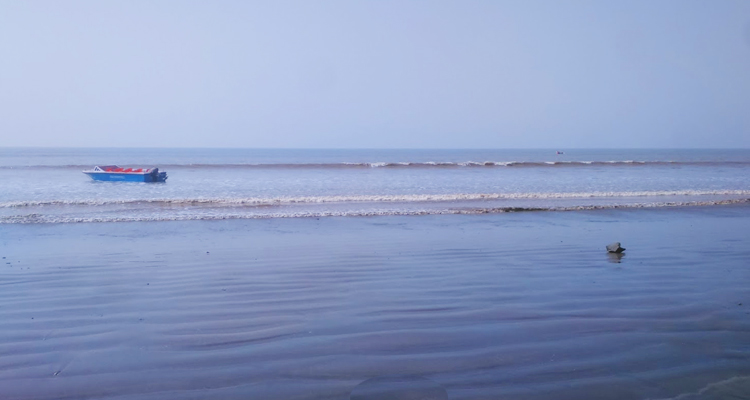 Tithal Beach Surat (Location, Activities, Night Life, Images, Facts ...