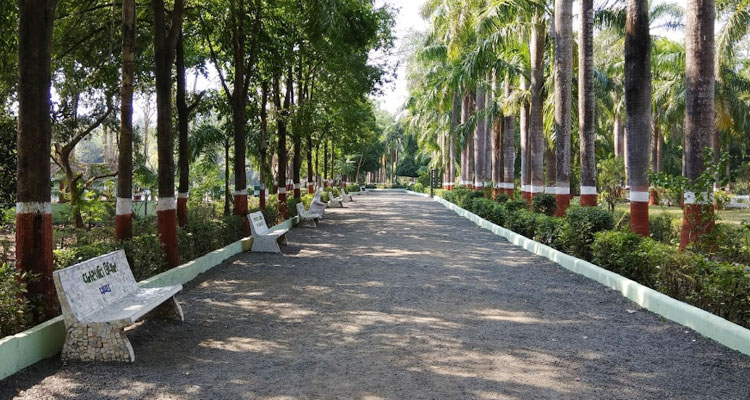 Vansda National Park Surat (Entry Fee, Timings, Safari, Best time to ...