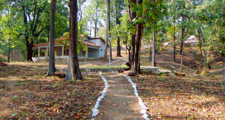 Vansda National Park Surat (Entry Fee, Timings, Safari, Best time to ...